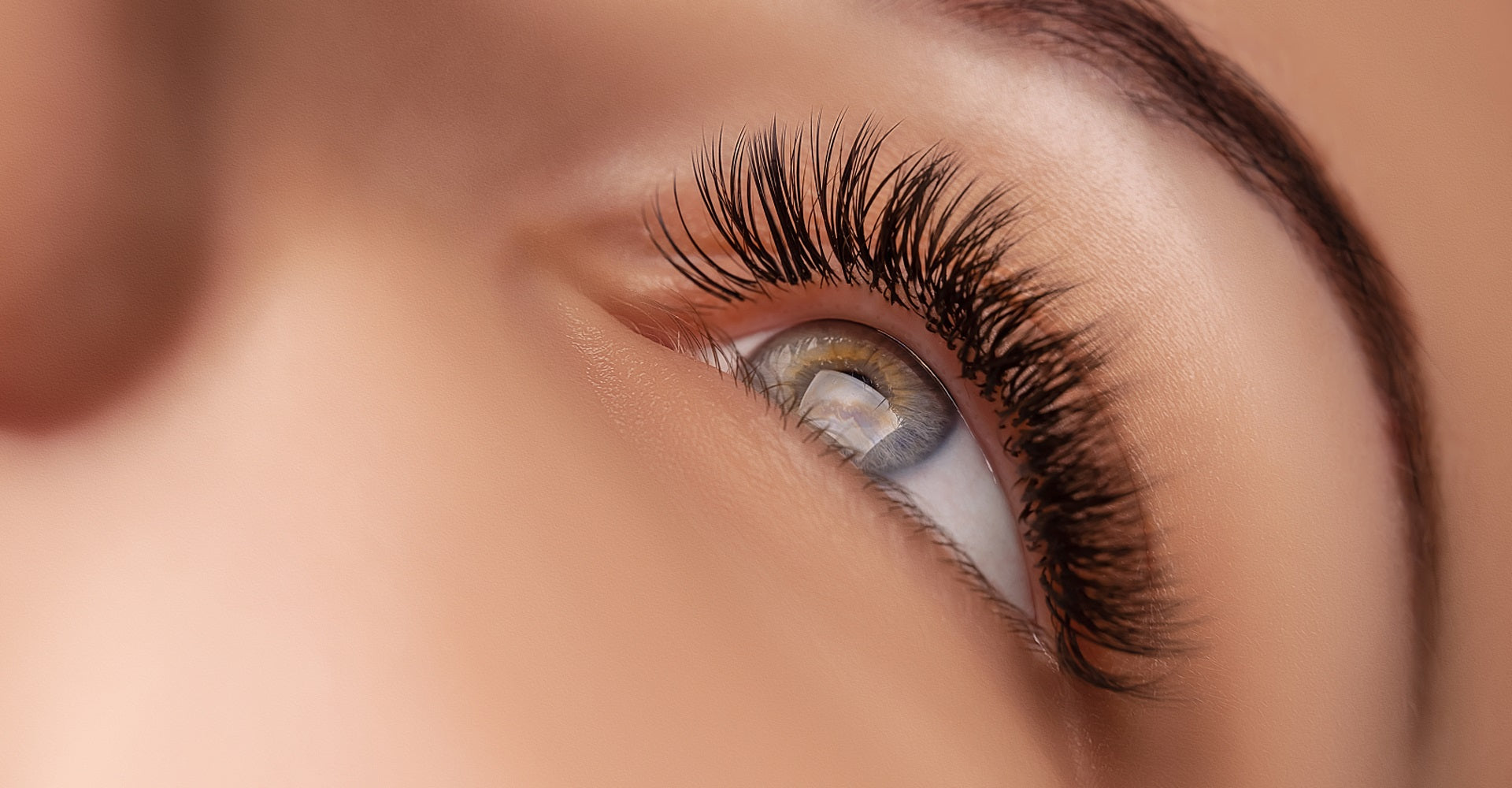SWANIYA®| Eyelash Extensions Manufacturer – Swaniyalashes