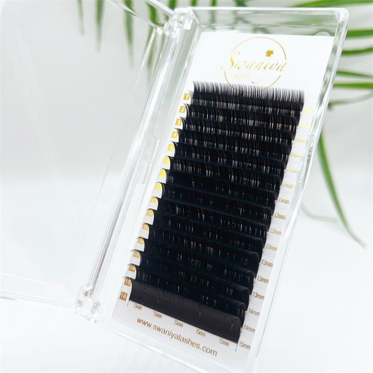 Luxurious Cashmere Classic Lashes 0.10mm - Premium Quality – Swaniyalashes